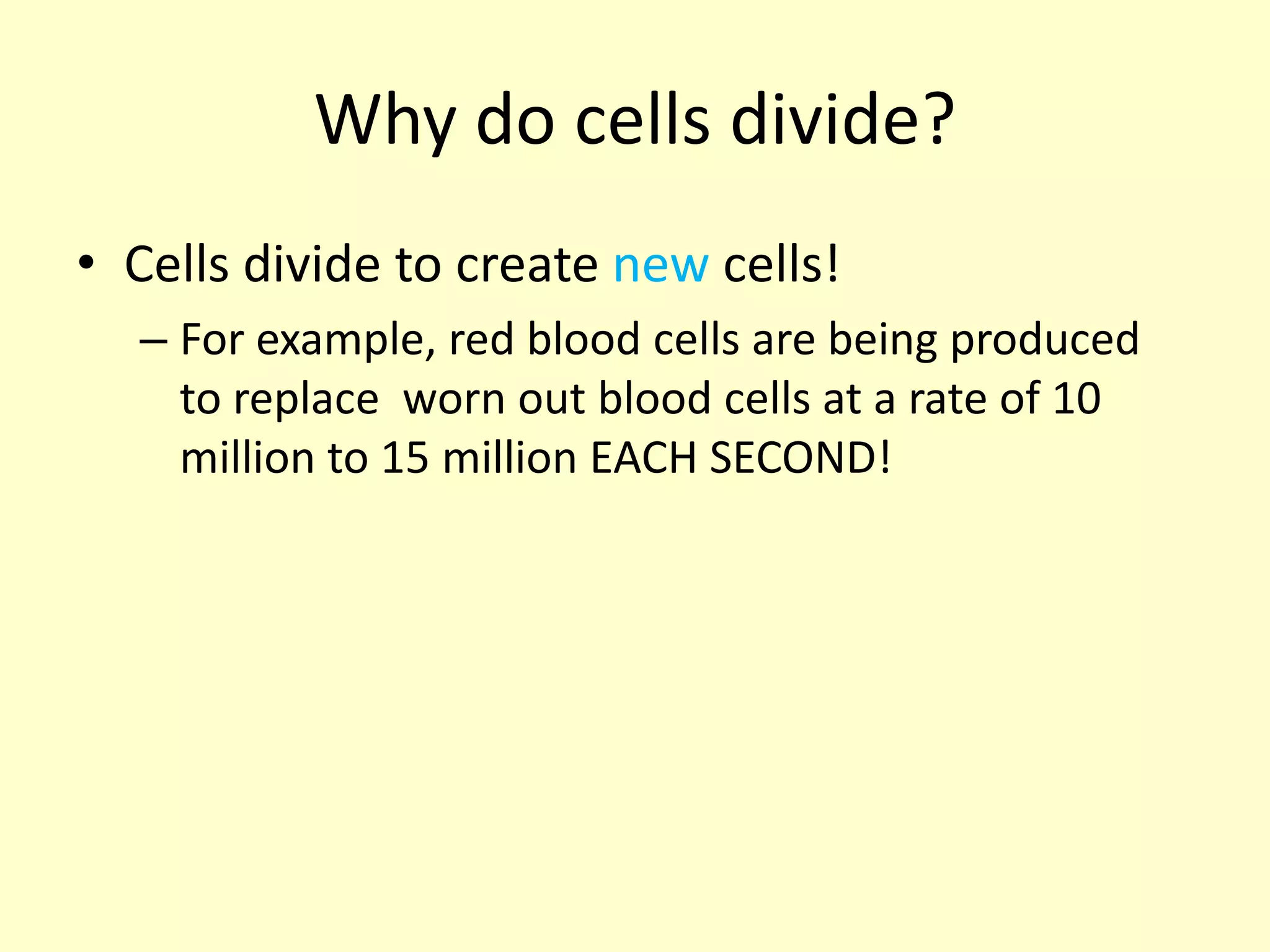 Introduction to mitosis | PPTX