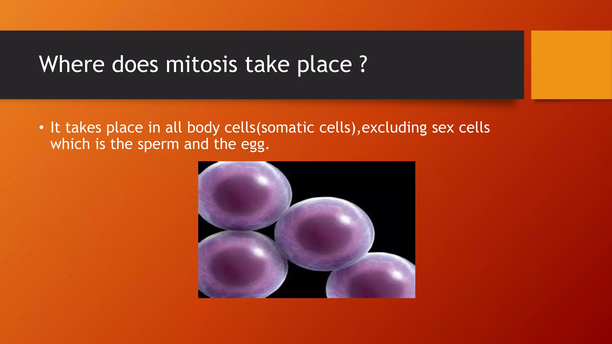 Introduction to mitosis | PPTX