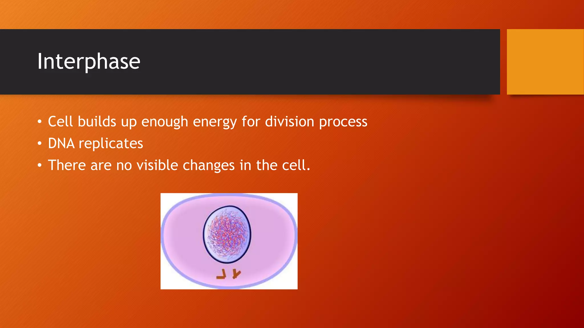 Introduction to mitosis | PPTX