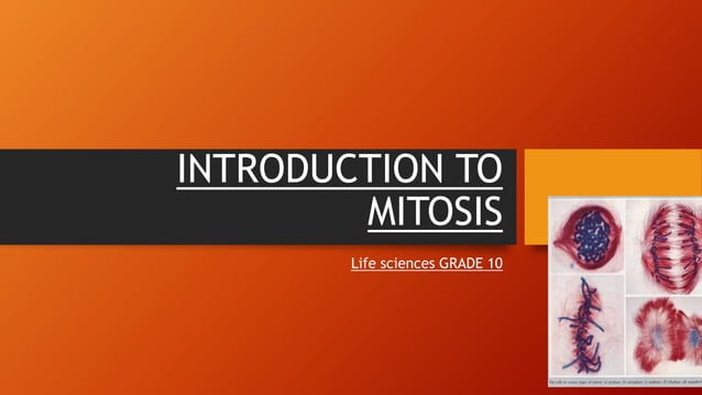 Introduction to mitosis | PPT