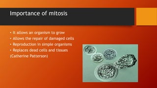 Introduction to mitosis | PPTX