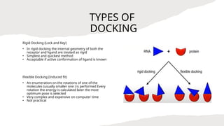 INTRODUCTION TO MLAECULAR DOCKING between two molecules | PPT