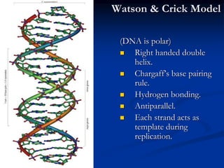 Introduction to molecular biology | PPTX