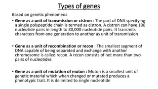 Introduction to basic Molecular Biology.pptx