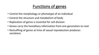 Introduction to basic Molecular Biology.pptx
