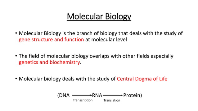 Introduction to basic Molecular Biology.pptx