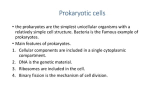 Introduction to Molecular Biology 1.pptx
