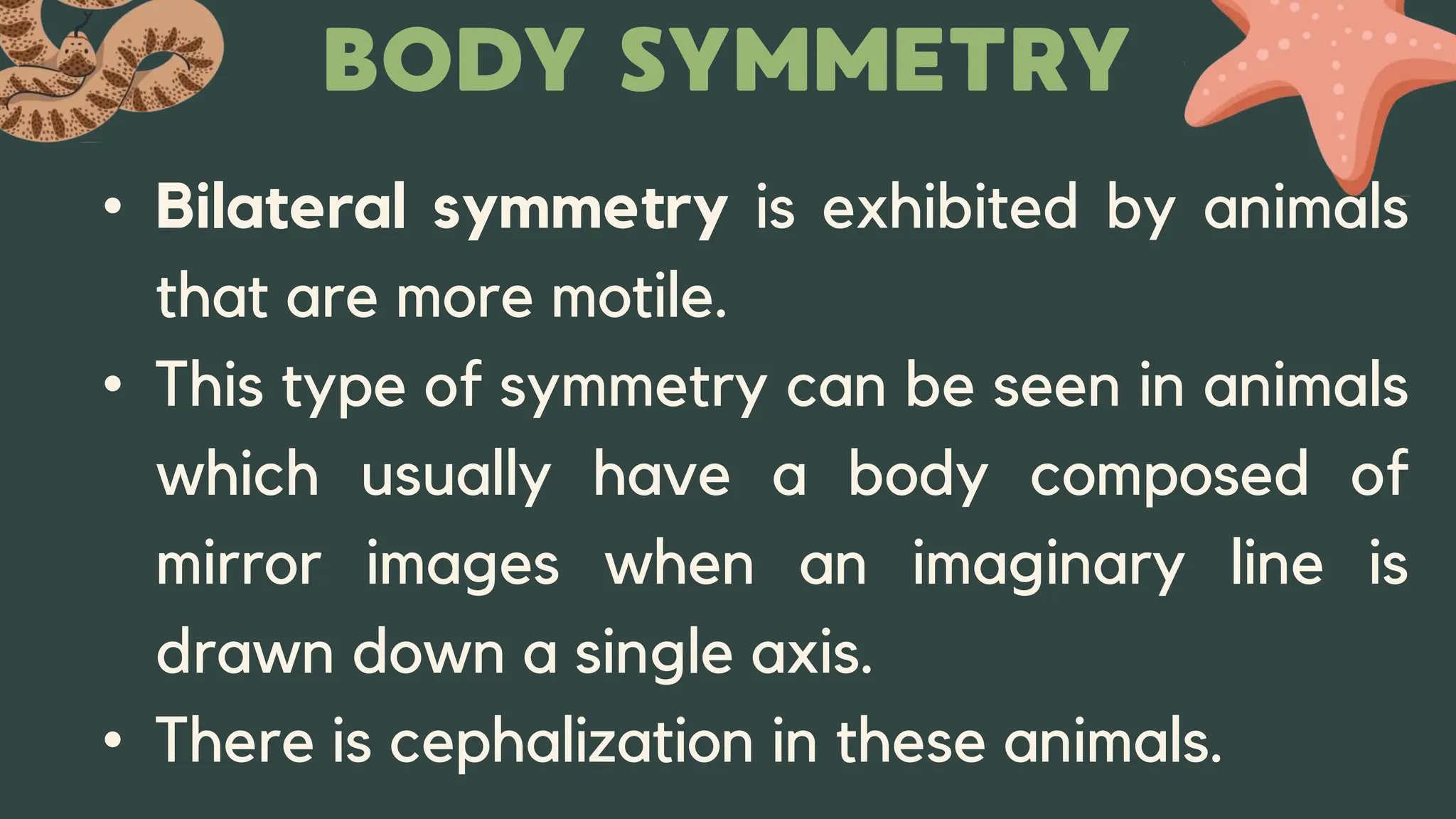 Introduction to Morphoanatomy of Animals | PPTX