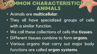 Introduction to Morphoanatomy of Animals | PPTX
