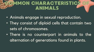 Introduction to Morphoanatomy of Animals | PPTX