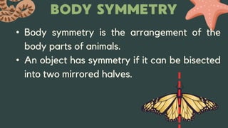 Introduction to Morphoanatomy of Animals | PPTX