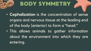 Introduction to Morphoanatomy of Animals | PPTX