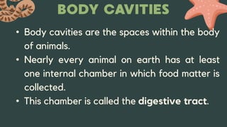 Introduction to Morphoanatomy of Animals | PPTX