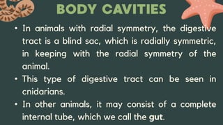 Introduction to Morphoanatomy of Animals | PPTX