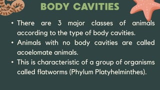 Introduction to Morphoanatomy of Animals | PPTX