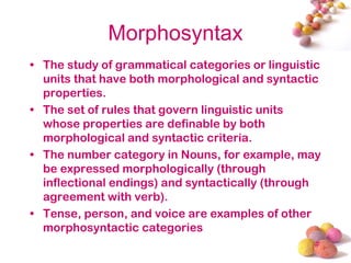 Introduction to morphosyntax | PDF