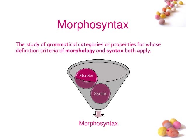 Introduction to morphosyntax