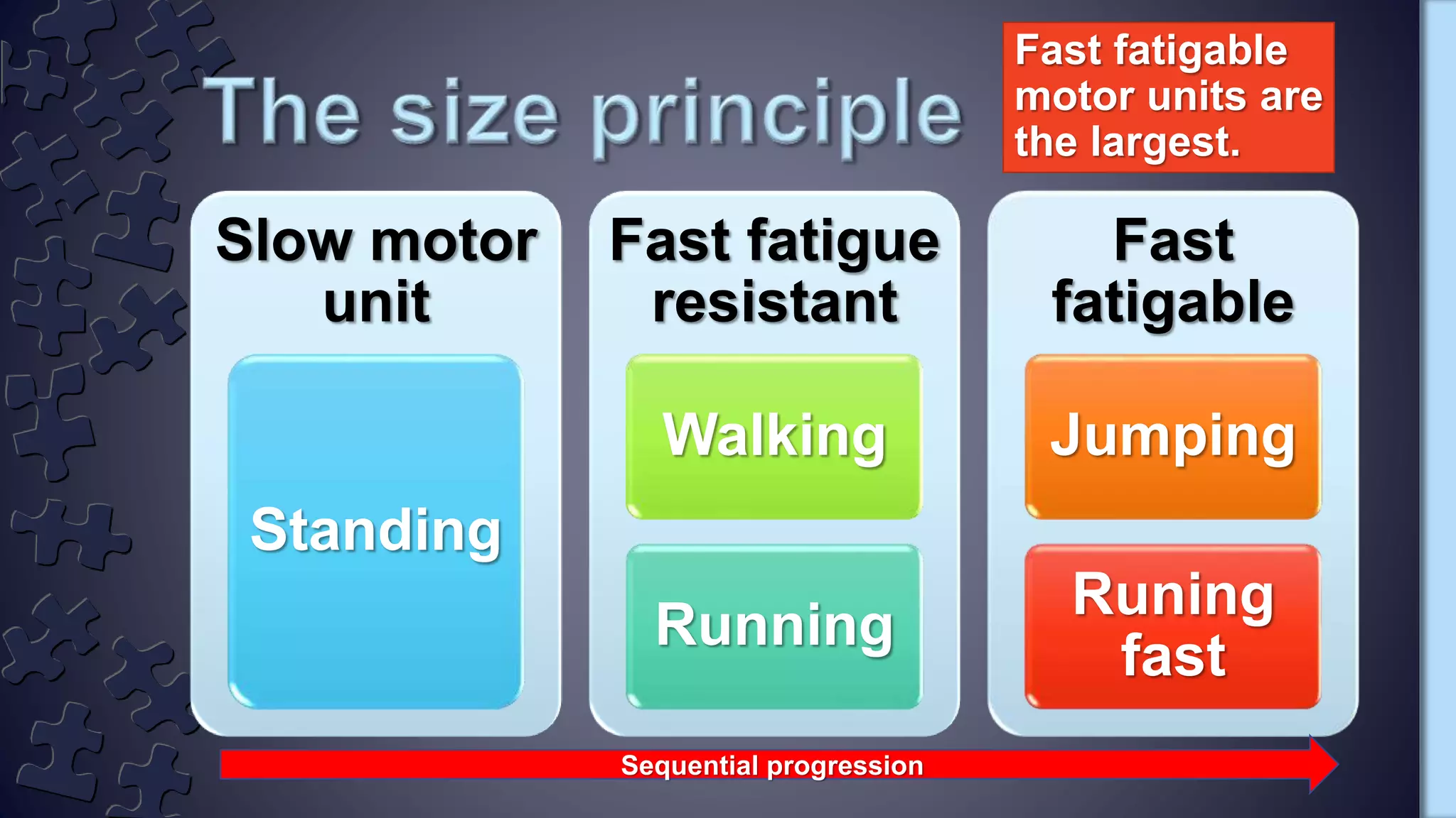 Introduction to motor systems | PPSX