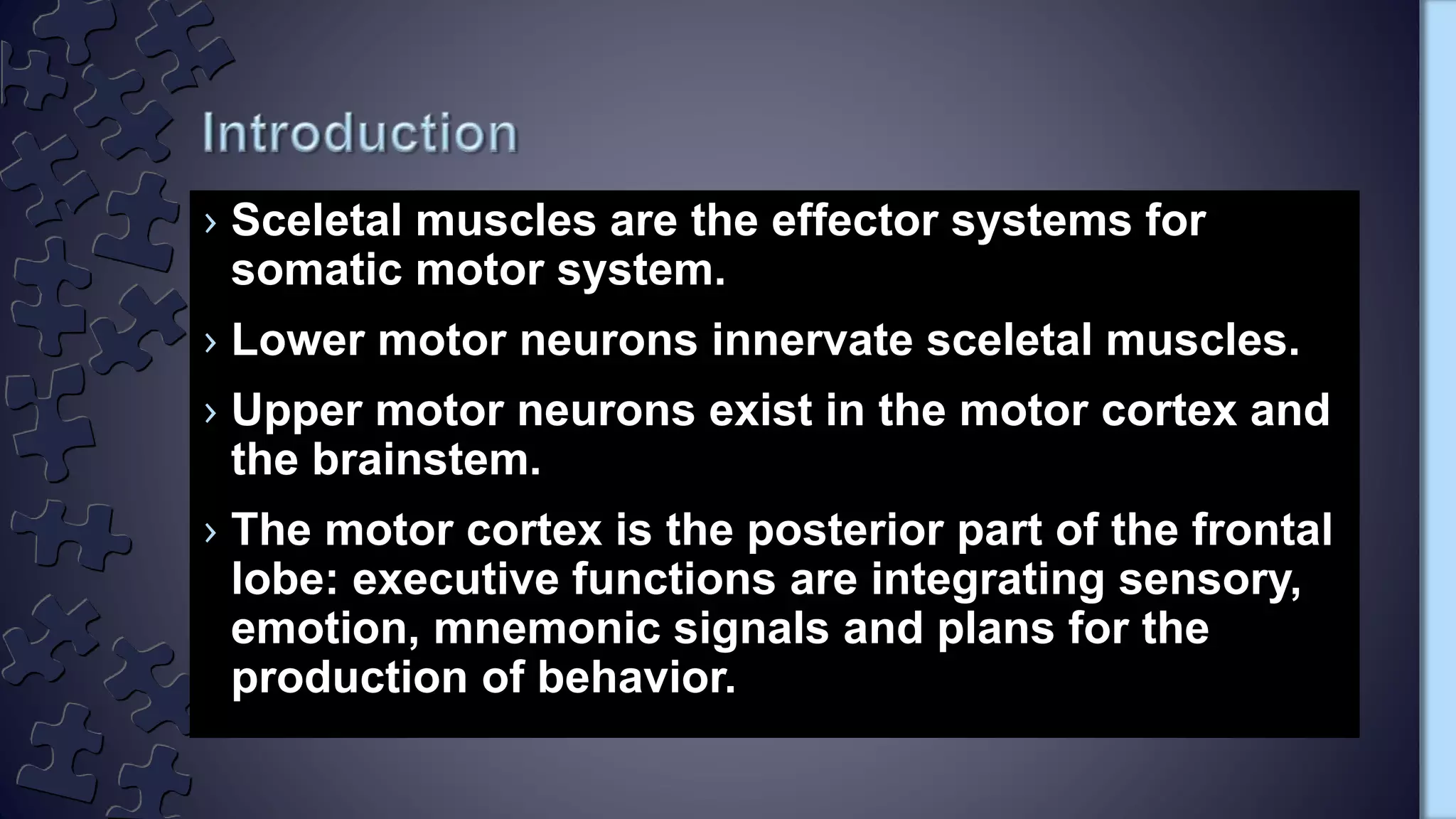 Introduction to motor systems | PPSX