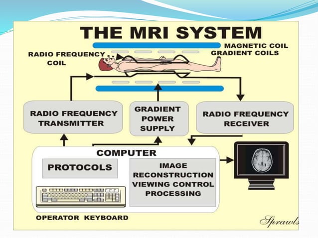 Introduction to mri | PPTX