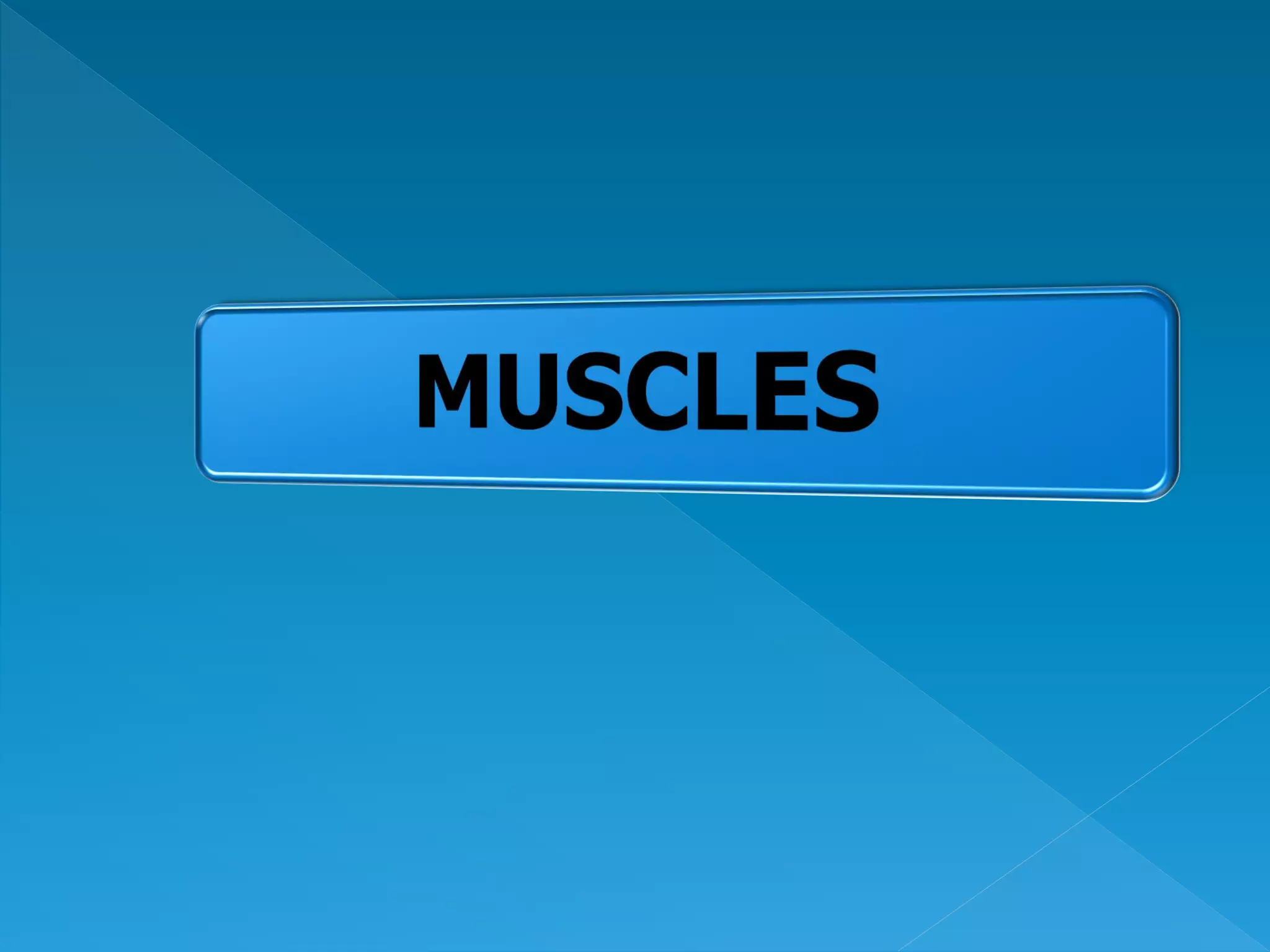 Introduction to msk us normal appearance pdf | PDF