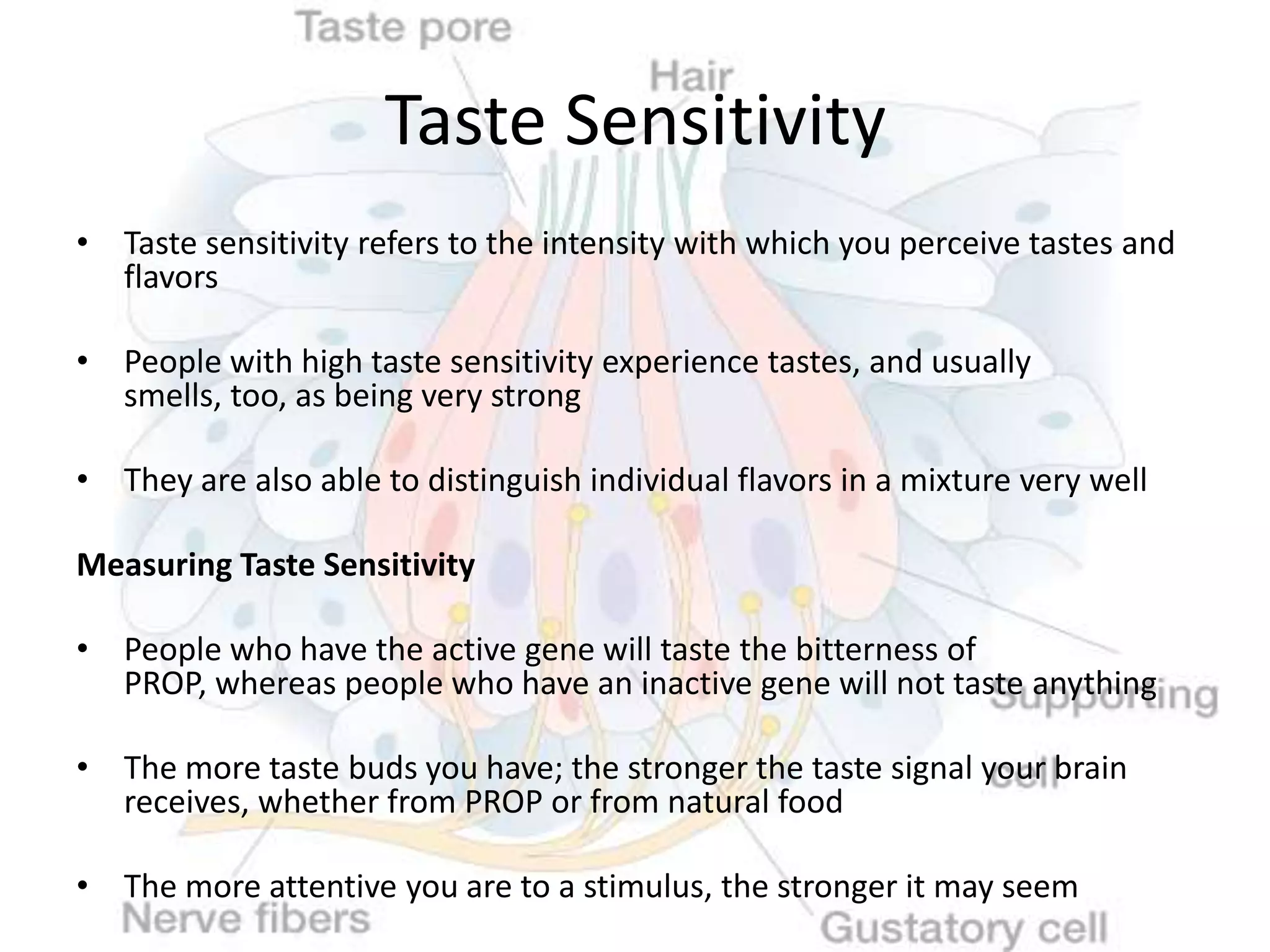 Introduction to Multi Sensory Taste Perception | PPTX