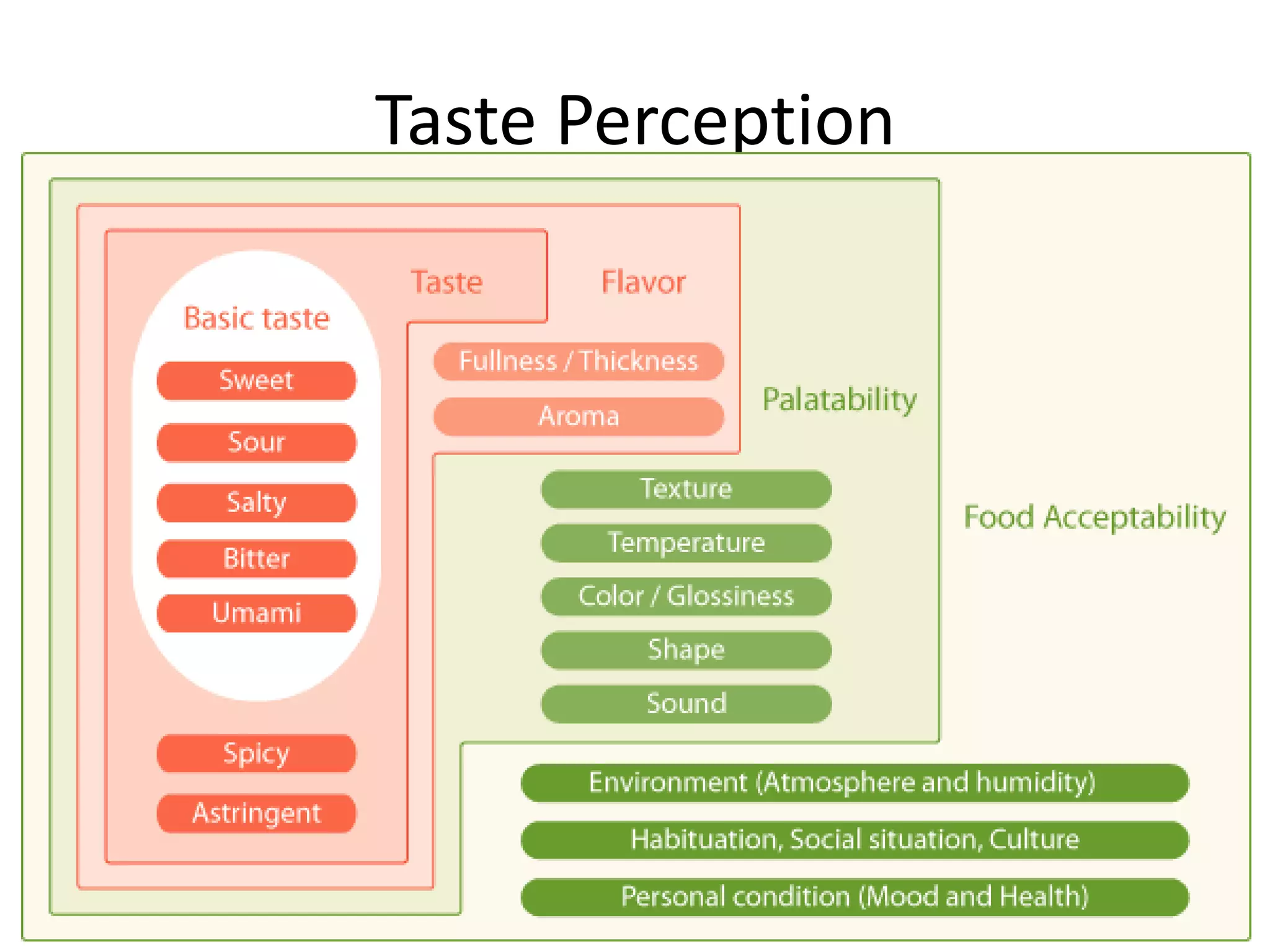 Introduction to Multi Sensory Taste Perception | PPTX