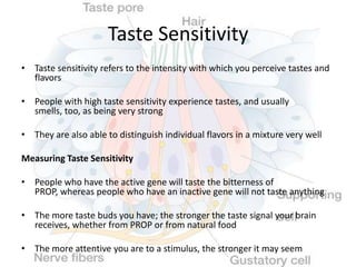 Introduction to Multi Sensory Taste Perception | PPTX