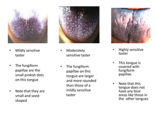 Introduction to Multi Sensory Taste Perception | PPTX