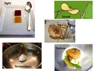 Introduction to Multi Sensory Taste Perception | PPTX
