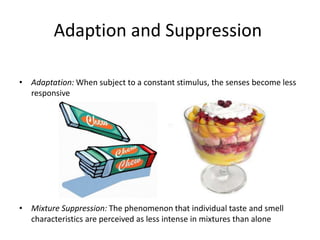 Introduction to Multi Sensory Taste Perception | PPTX