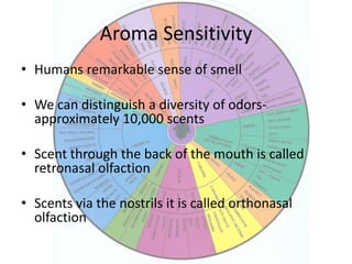 Introduction to Multi Sensory Taste Perception | PPTX