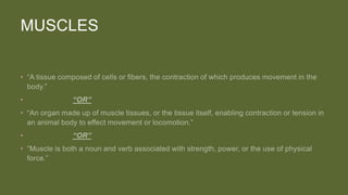 INTRODUCTION TO MUSCLES AND MOVEMENT.pdf