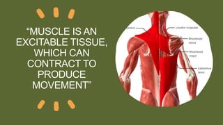 INTRODUCTION TO MUSCLES AND MOVEMENT.pdf