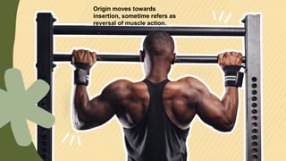 INTRODUCTION TO MUSCLES AND MOVEMENT.pdf