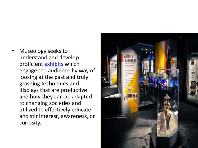 Introduction to Museology | PDF | Museums & Galleries | Attractions