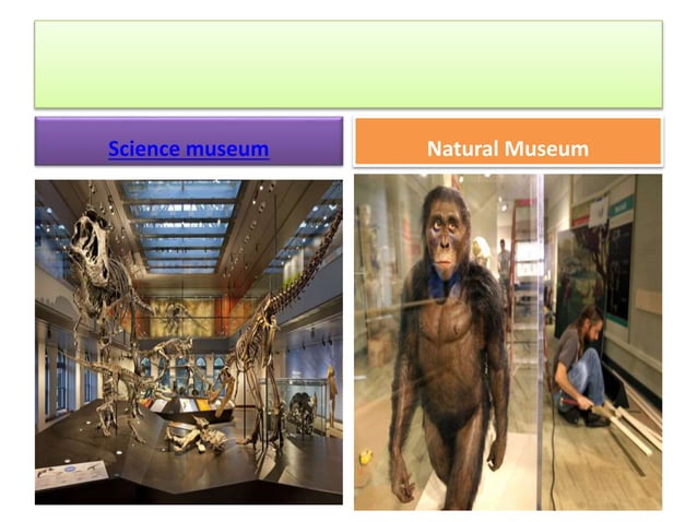 Introduction to Museology | PDF | Museums & Galleries | Attractions