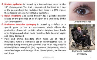Introduction to mutations and carcinogenesis | PDF | Cancer | Diseases ...