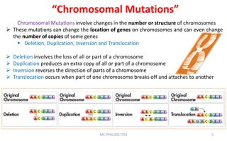 Introduction to mutations and carcinogenesis | PDF | Cancer | Diseases ...