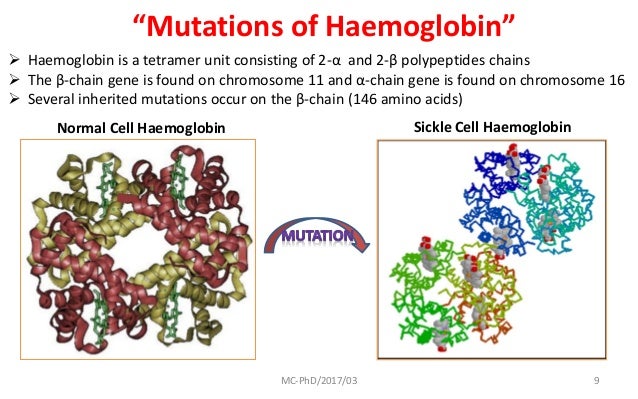 Introduction to mutations and carcinogenesis
