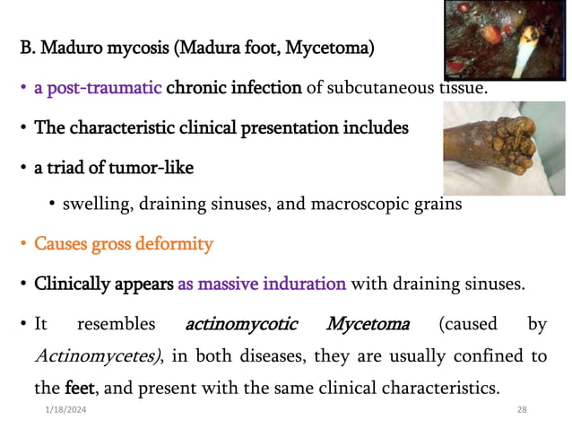 Introduction to Myco and viro.pptx viruses and microb | PPTX | Skin and Dermatology | Diseases ...
