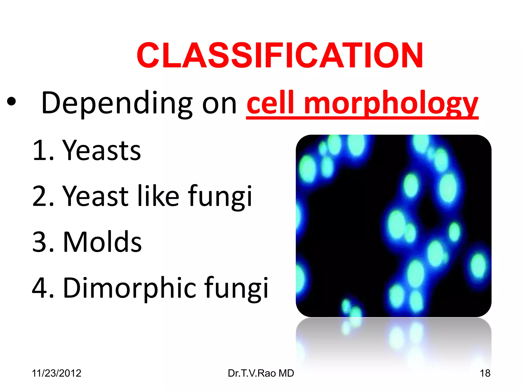 Introduction to mycology | PPTX