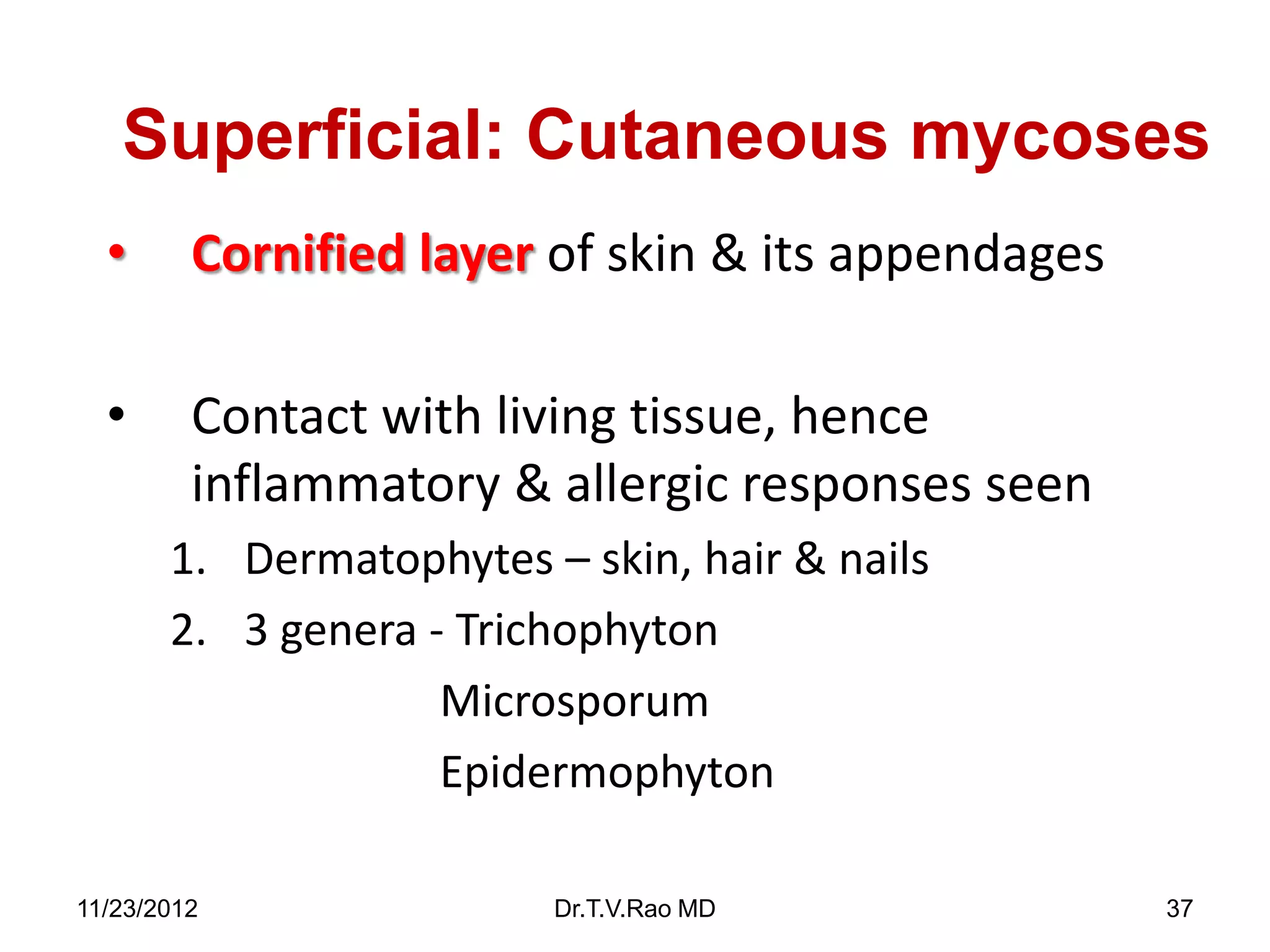 Introduction to mycology | PPTX