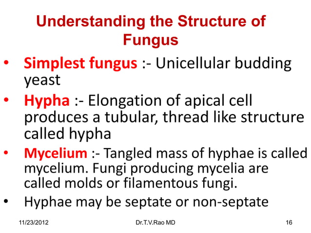 Introduction to mycology | PPTX