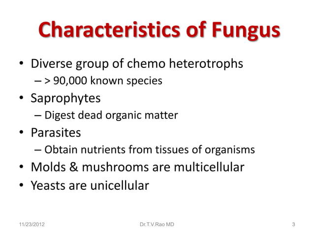 Introduction to mycology | PPTX