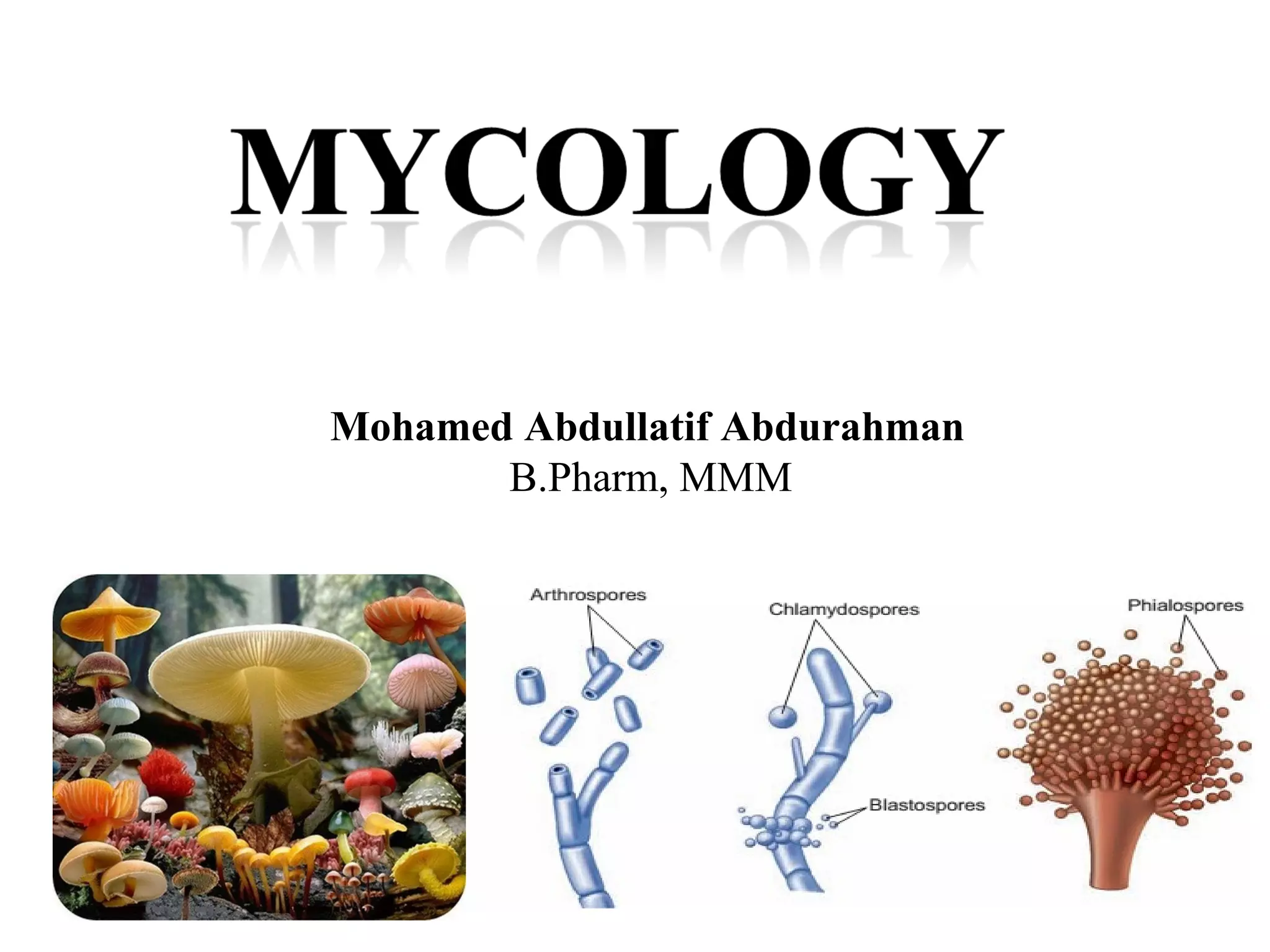 Introduction to mycology | PPT
