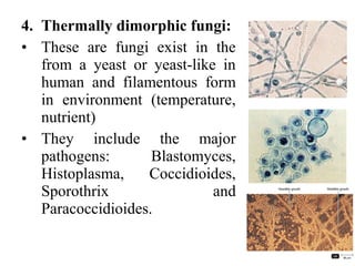 Introduction to mycology | PPT