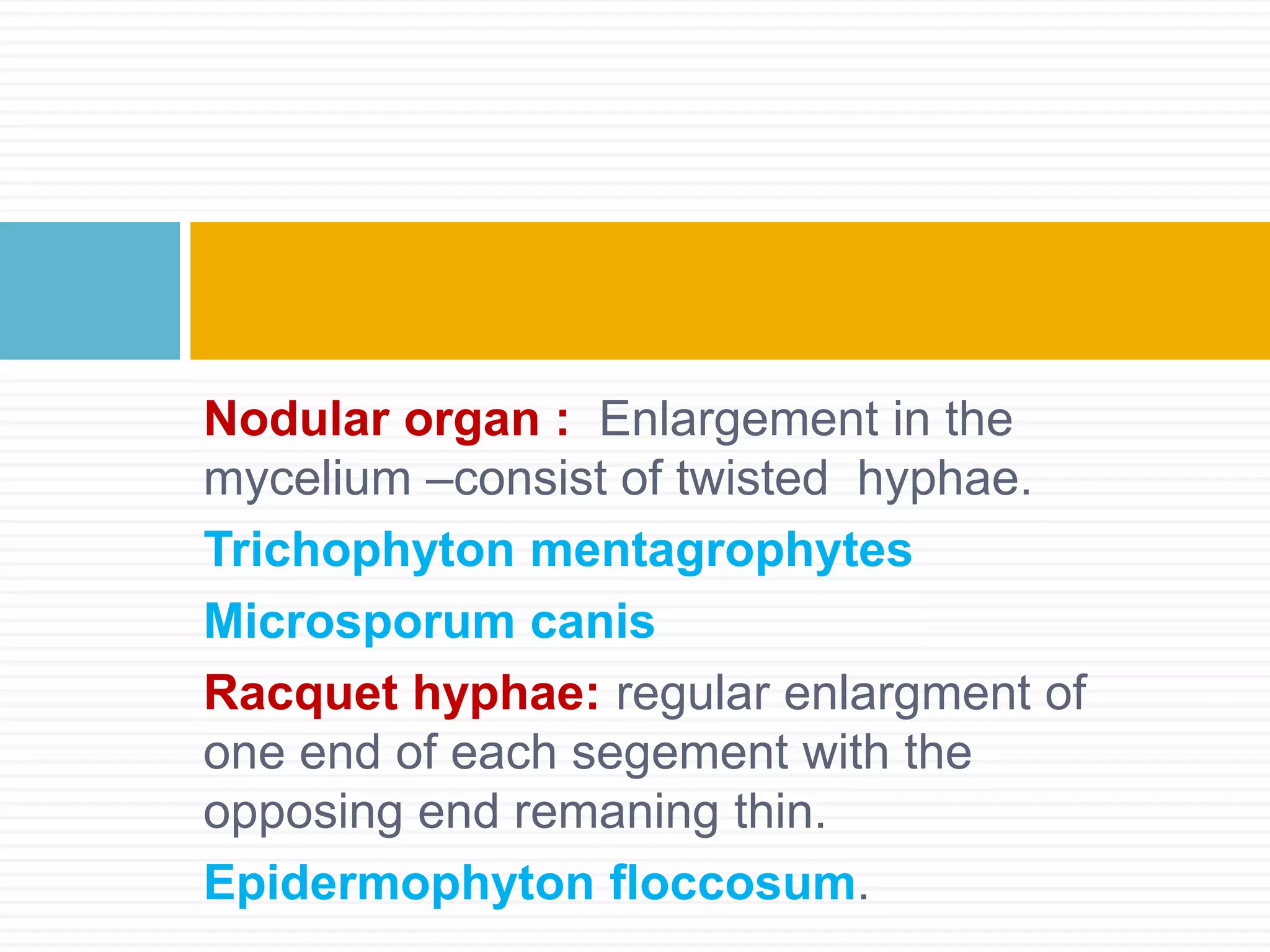 introduction to mycology (1).ppt