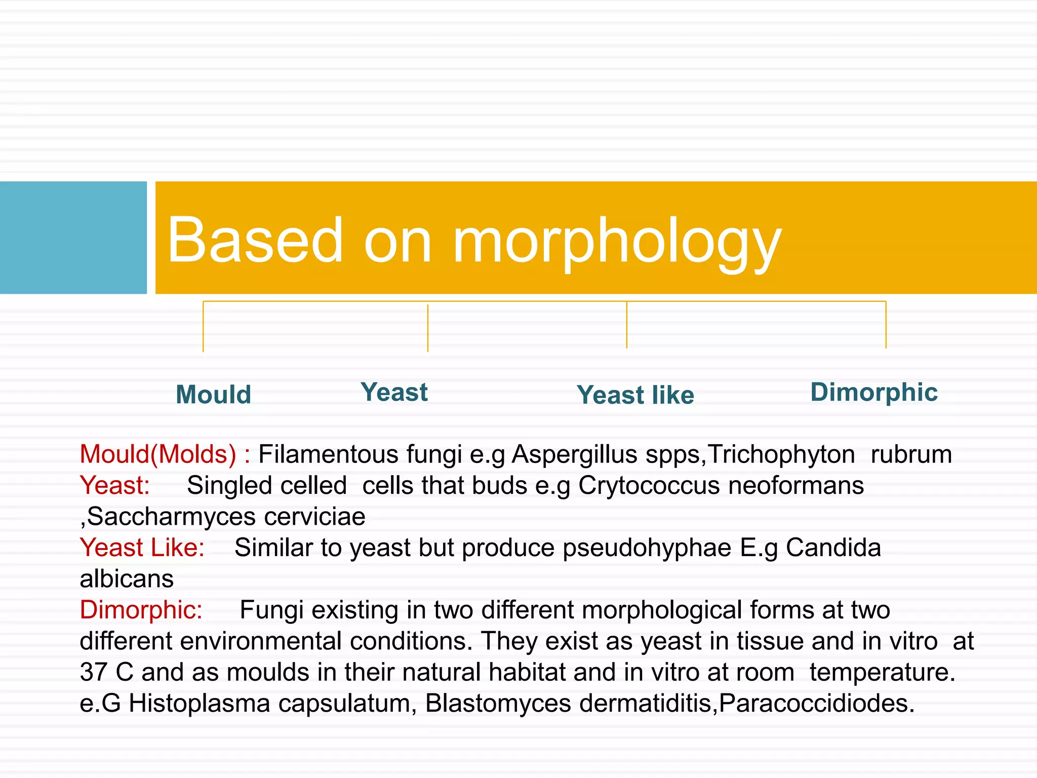 introduction to mycology (1).ppt