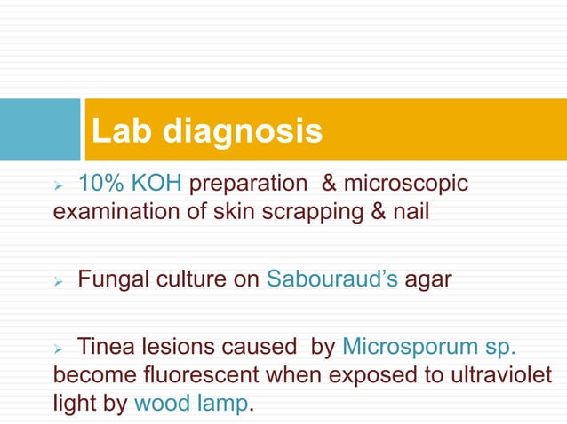 introduction to mycology (1).ppt | Skin and Dermatology | Diseases and ...
